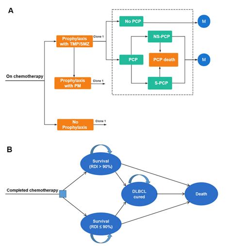 Simplified Schematic Of A Decision Tree And B Markov Download
