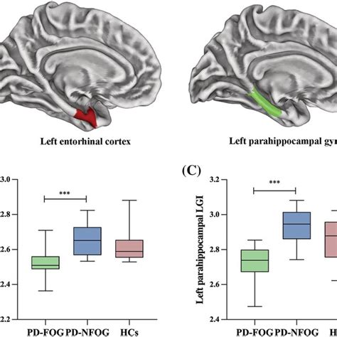 Significant Cholinergic Basal Forebrain Volumetric Differences Among Download Scientific