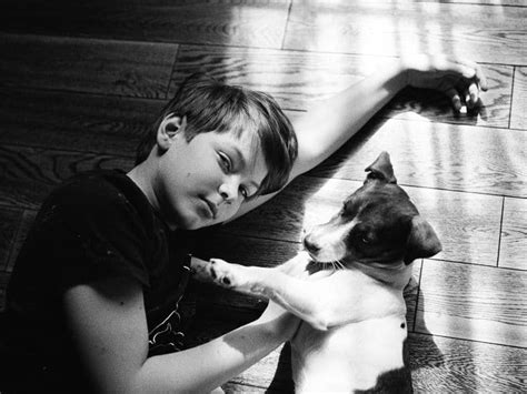 Iphone Macro Photography Essential Guide