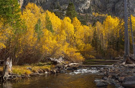 Rush Creek By Steve R 500px