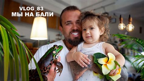 МЫ НА БАЛИ Vlog 83 Youtube
