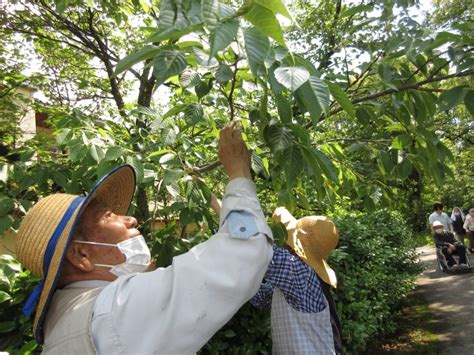 散策🍃 ｜ 社会福祉法人 庄川福祉会 ケアポート庄川