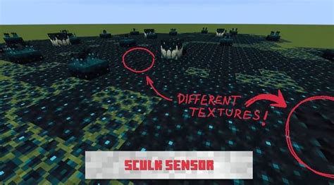 Sculk Blocks In Minecraft Everything Players Need To Know