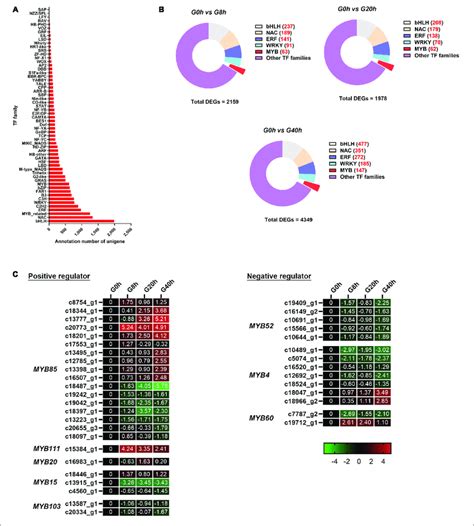 A TF Annotation For All Unigenes B DEGs Of The TF Family In G0h Download Scientific
