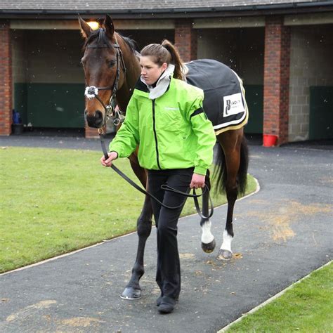 Pin By Jackie Cunningham On Rock On Ruby Ret Rock