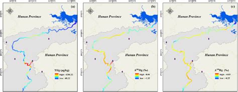 Spatial Distribution Of Thg A δ 202 Hg B And Δ 199 Hg C In