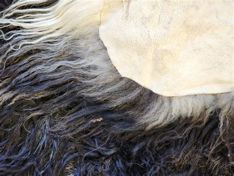 Lot Pair Of Mongolian Yak Hides 110 X 80cm