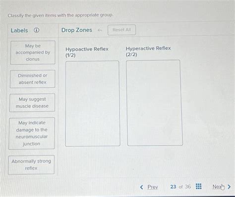 solved classify the given items with the appropriate group