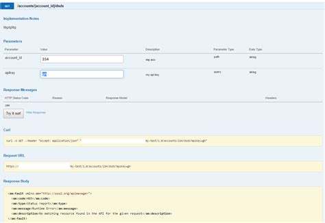 Wso2 Api Manager 19 Query Parameters Are Not Accepted In Swagger