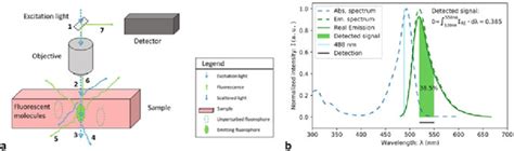 5 light path for transmitted light and fluorescence microscopy a