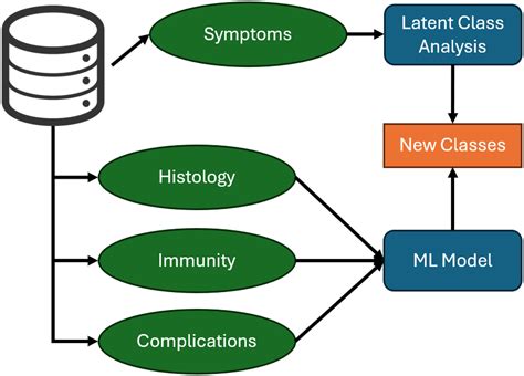 Latent Class Analysis Identifies Novel Coeliac Disease Subgroups With