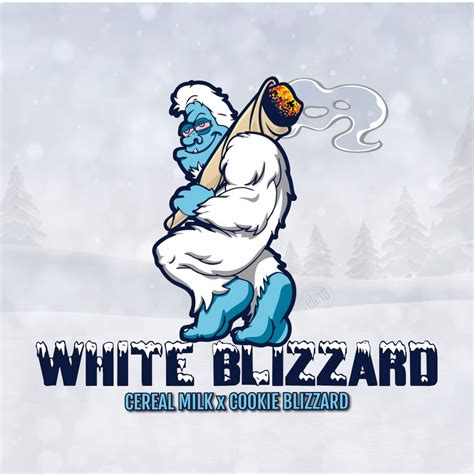 Elev8 Seeds White Blizzard 6 Feminized Seeds Gaslamp Seeds