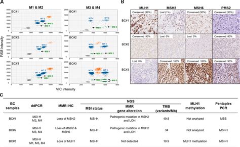 Msi Detection In 3 Breast Tumors Previously Known As Msi H Based On Download Scientific Diagram