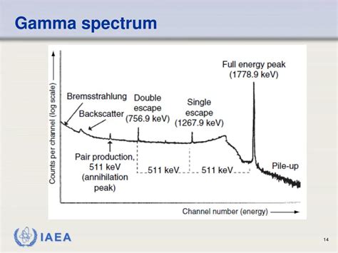 Ppt Gamma Spectrometry Powerpoint Presentation Free Download Id