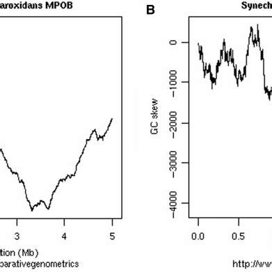GC skew curves for Class 1 genomes A Class 1A Ã shaped curves B Download Scientific