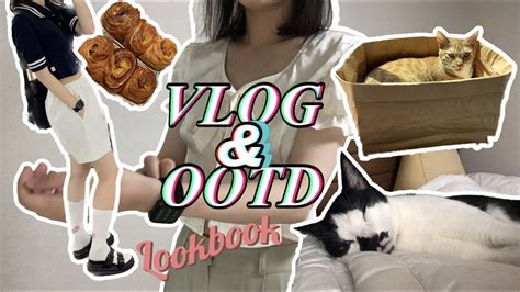 vlog ootd고양이와 함께 여름 심플 코디 데일리룩 카페공부 일상 브이로그 오버듀플레어 샌드사운드 자라 닥터마틴 etc YouTube