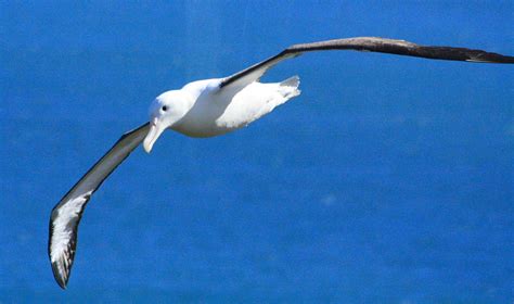 Ted Ralphs Fundamentals Of Computer Algorithms By Ellis Sahni Sartaj