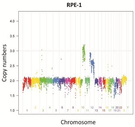 Low Coverage Whole Genome Sequencing Of The Rpe 1 Cell Line Reveals A Download Scientific