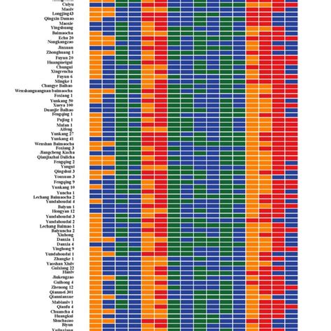 Snp Fingerprinting Of 117 Tea Cultivars Based On Eight Snp Markers Download Scientific Diagram