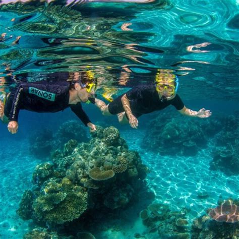 How To Snorkel The Great Barrier Reef Beginners Guide