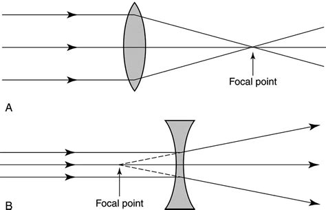 How Many Types Of Convex Lens At Christopher Foss Blog