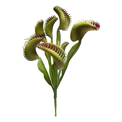 Witspace Clearance Artificial Venus Flytrap Plants Lifelike Carnivorous Venus Flytrap Plants