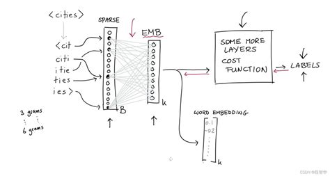 Rasa课程、rasa培训、rasa面试、rasa实战系列之implementation Of Subword Embeddings