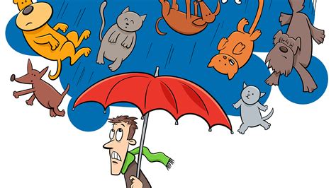 Hyperbole Examples 5