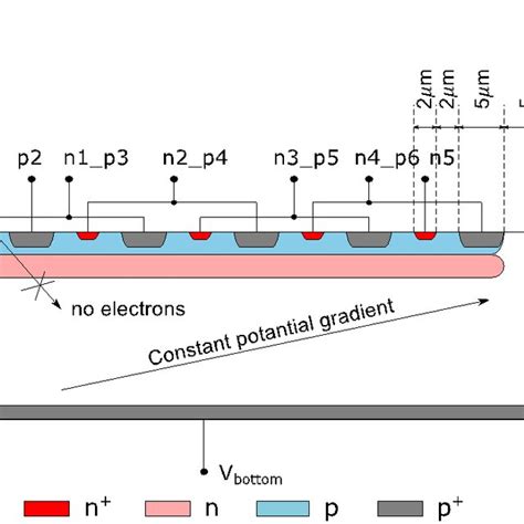 Schematic Cross Section Of The Simulated Cylindrically Symmetric Sdd