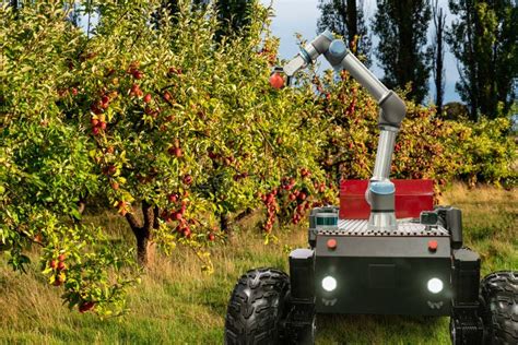 Autonomous Robot Harvester With Robotic Arm Harvesting Apples On A