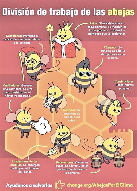 Pin En Abejas 🐝 En 2024 Informacion Sobre Las Abejas Juegos De