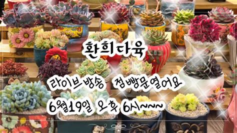 환희다육 Live 🎤 점빵문열어요 ~ 오이소 보이소 즐기소 사이소예~~🫡 Youtube