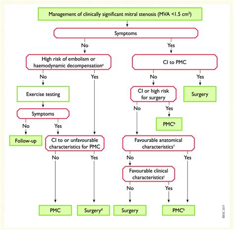 Management Of Clinically Significant Mitral Stenosis Ci