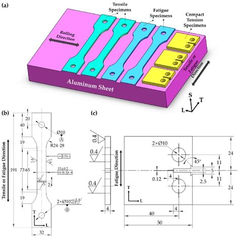 A The Illustration Of Specimen Processing And The Dimensions Of B Download Scientific