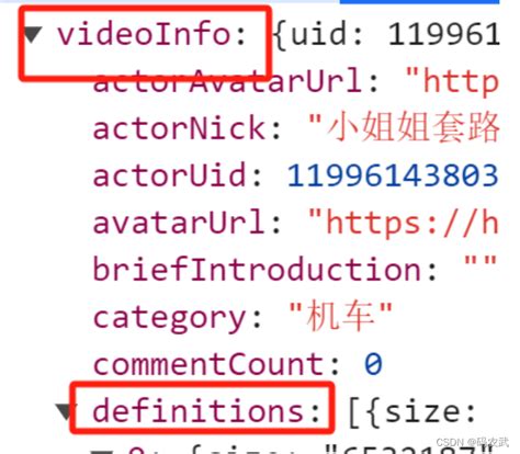 码农武：使用python爬取小视频 抓包获取视频的真实地址 csdn博客