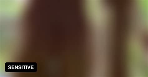 Captain I Need Help Gag