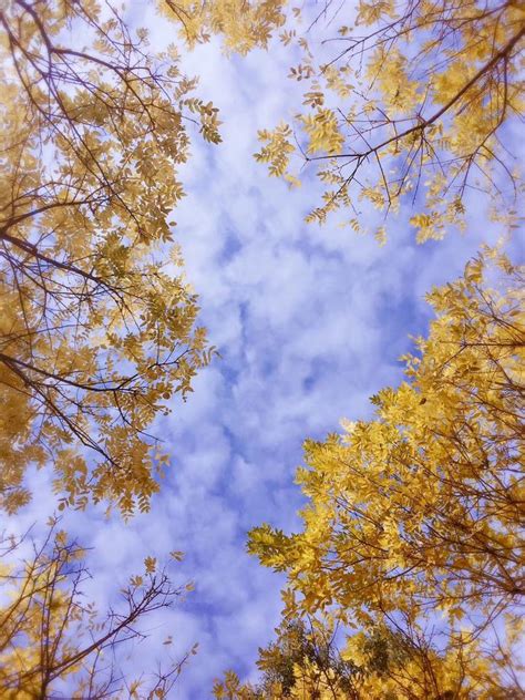 数据小白升级之路 知乎