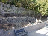 Landscaping Week 6