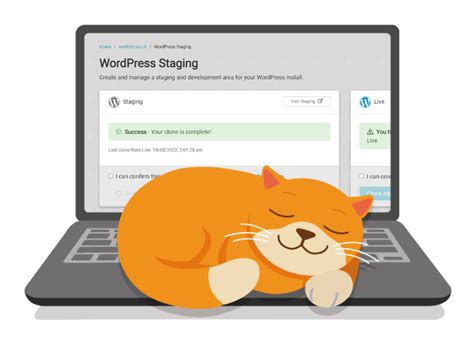 Webhosting Partnerský Program Webkittycz