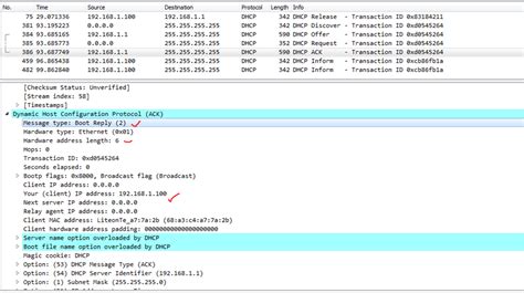 NETWORK ENGINEER STUFF WIRESHARK DHCP PACKET ANALYSIS
