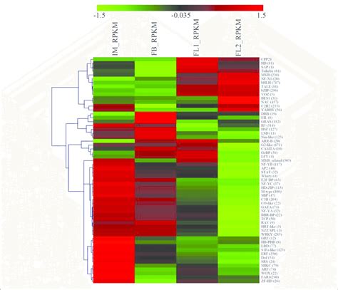 Identification And Analysis Of Floral Transition And Flower