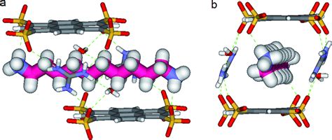 X Ray Structure Of Ptsg{1} A Side And B Front View Of The Ptsg{1} Download Scientific