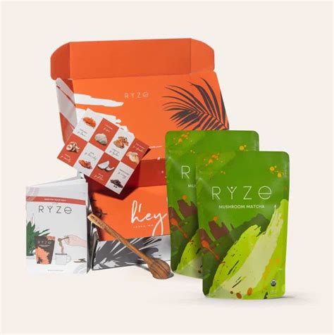 Mushroom Matcha Powder Kit With Mct 60 Servings For Focus And Energy