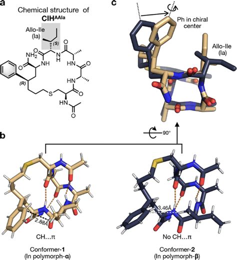 Intramolecular Ch⋯π Attraction Mediated Conformational Polymorphism Of Constrained Helical