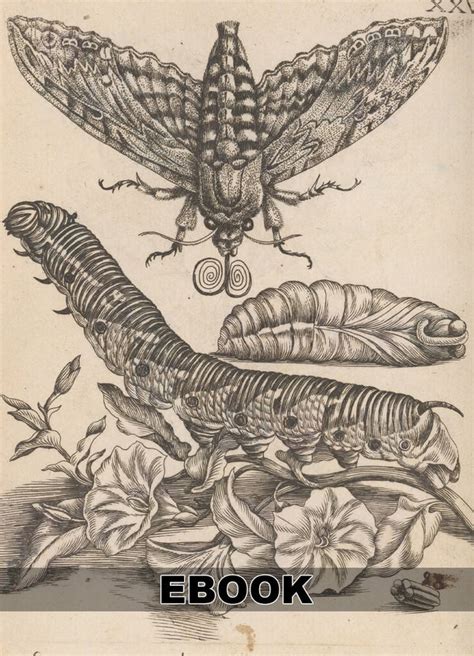 Inscets And Flowers Shop Illustrated Books Ebooks And Prints