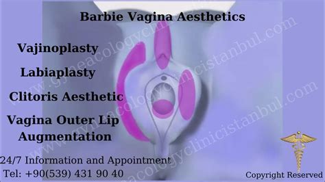 What Is Barbie Vagina Aesthetics How To Do Barbie Vagina Aesthetics
