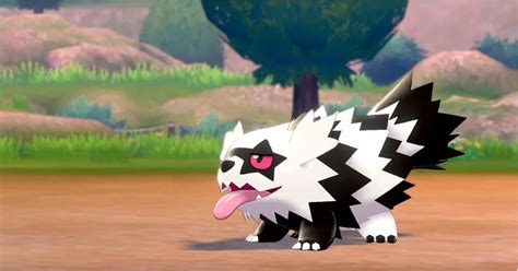 What Does Zigzagoon Evolve Into In Pokemon Sword What Does