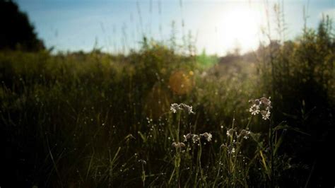 How Strong Is Plexiglass Understanding Its Strength And Durability Jumei Acrylic