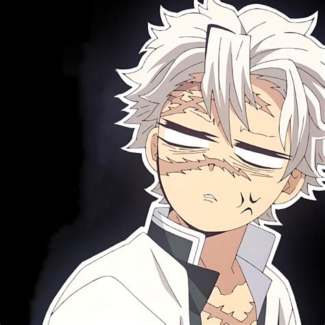 Sanemi Shinazugawa Demon Slayer Sanemi Chibi Pfp Sanemi Smile