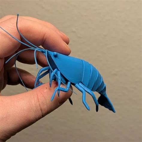 3d Printable 3d Printable Articulated Shrimp Model Flexi Toy By Grif